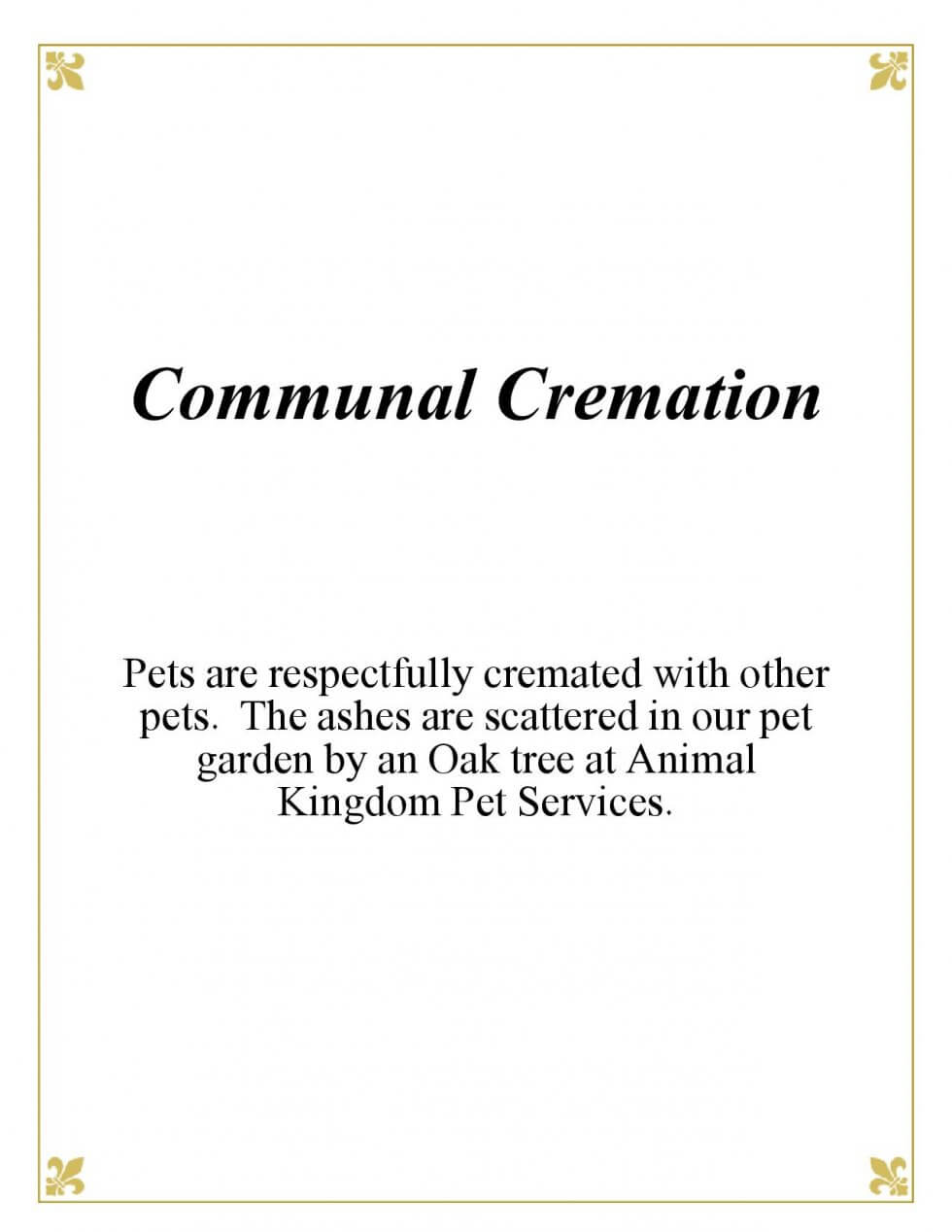 Our Services - Animal Kingdom Pet Services